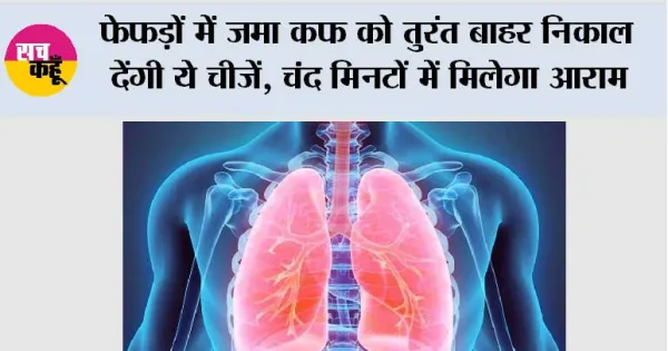 Health Alert: फेफड़ों में जमा कफ को तुरंत बाहर निकाल देंगी ये चीजें ...