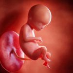 Baby Fetus, छह माह के बच्चे का भ्रूण मिला